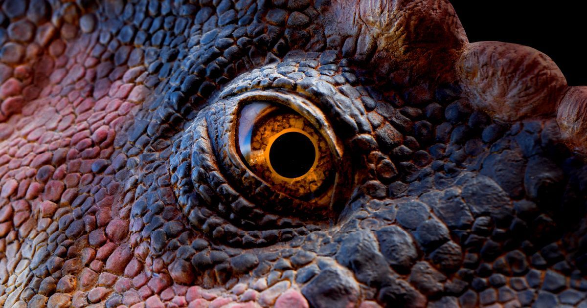 Edelman Fossil Park & Museum of Rowan University